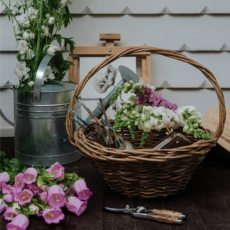 At Home with Fleur Harris | Adairs