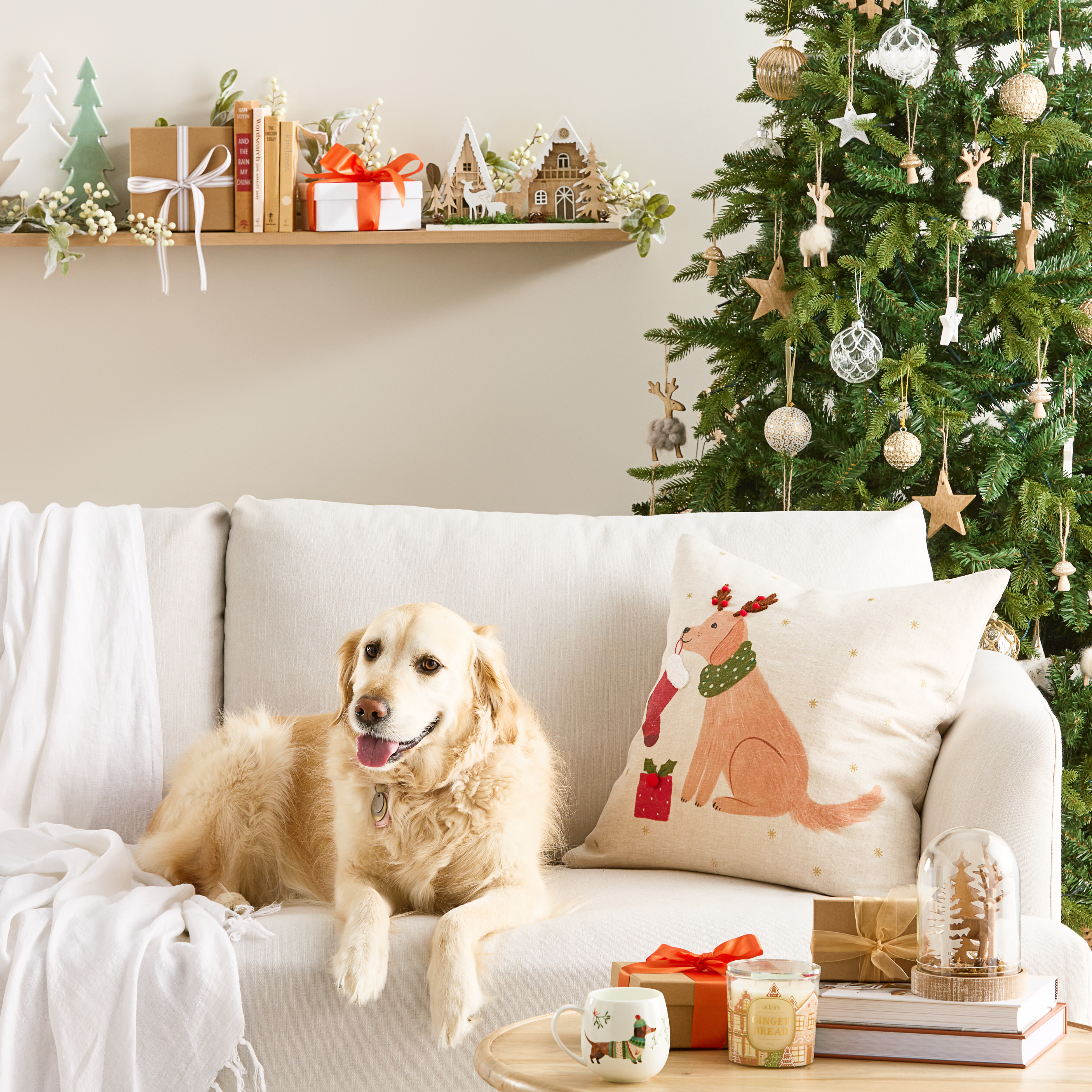 Festive Labrador Cushion | Adairs