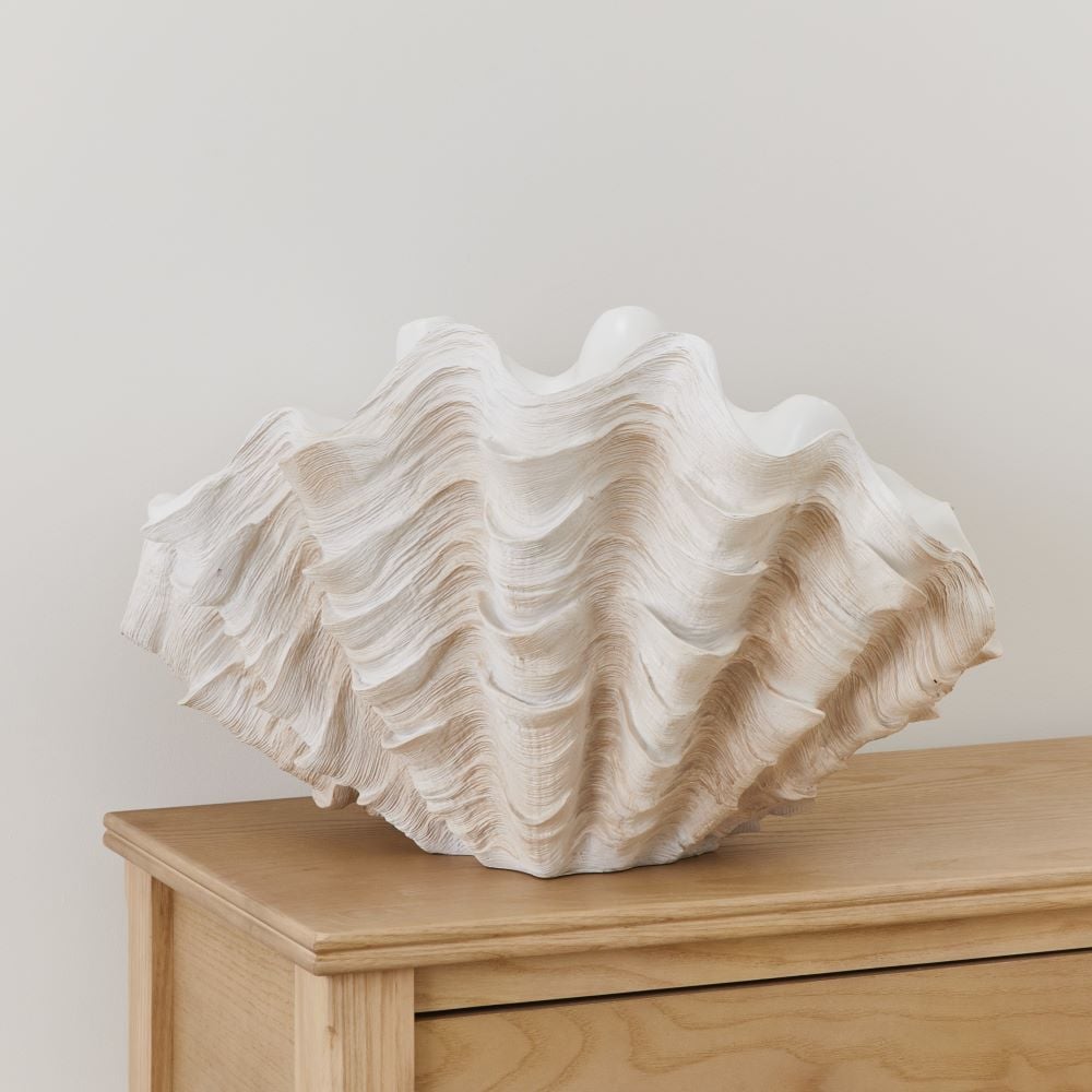 Marine Life Clam Statue | Adairs
