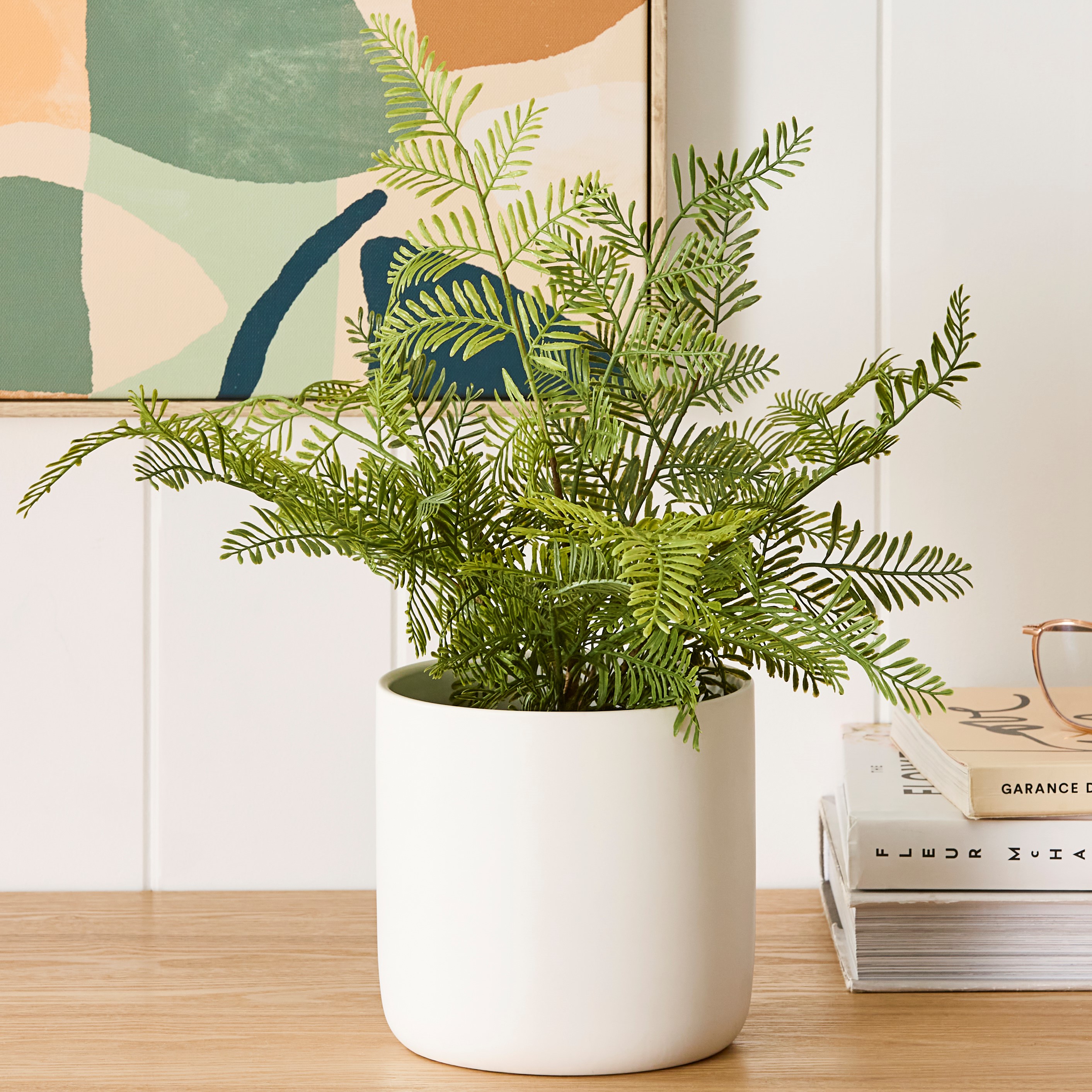 Milton Green & White Potted Fern | Adairs