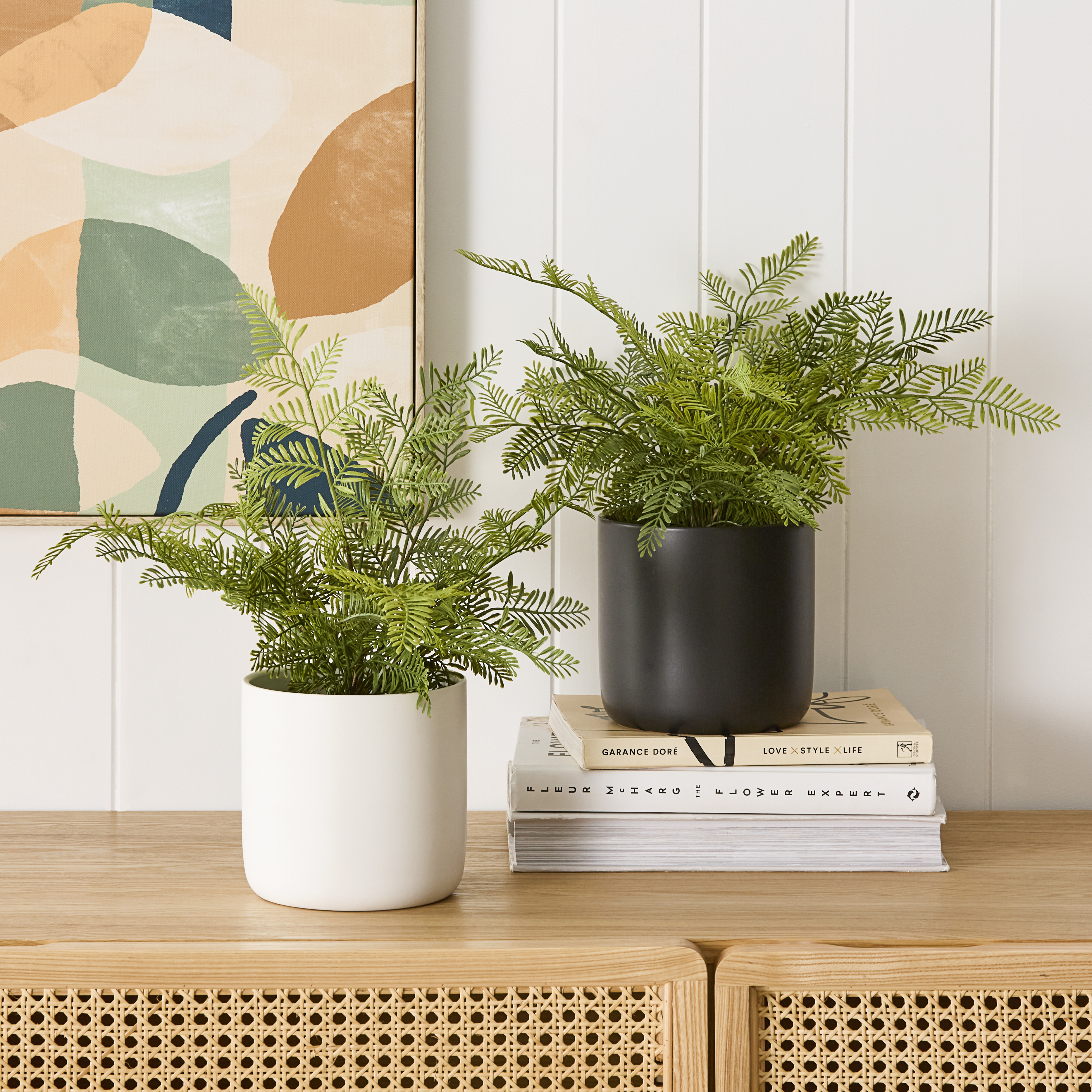 Milton Green & White Potted Fern | Adairs