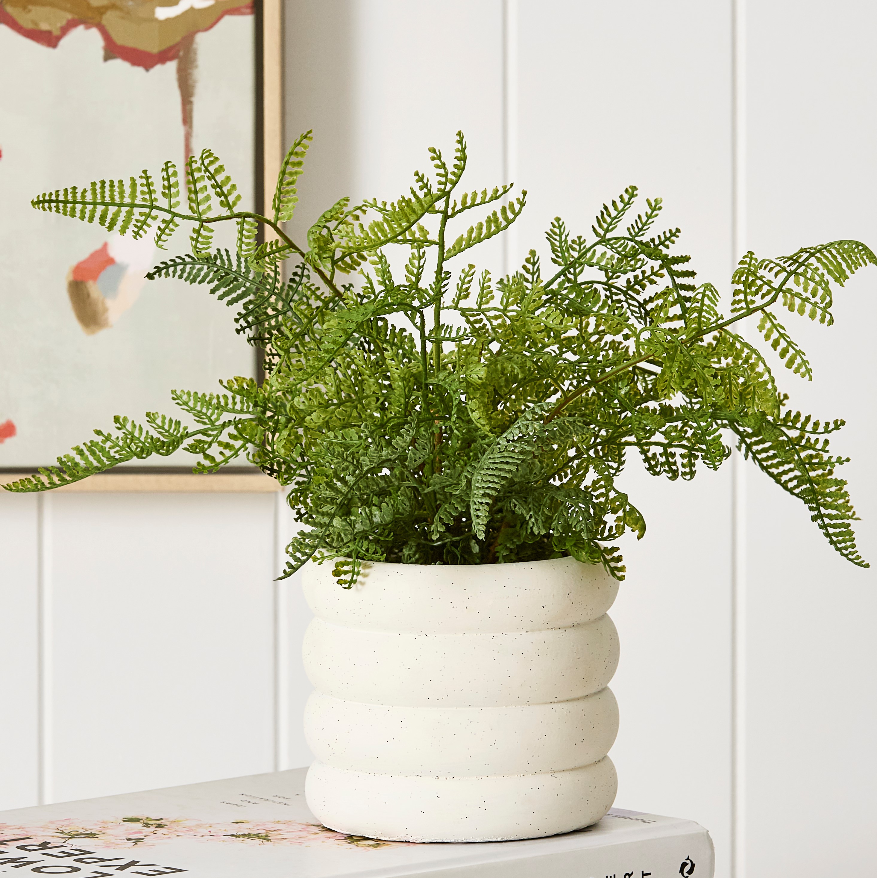 Conran Green/White Potted Fern | Adairs