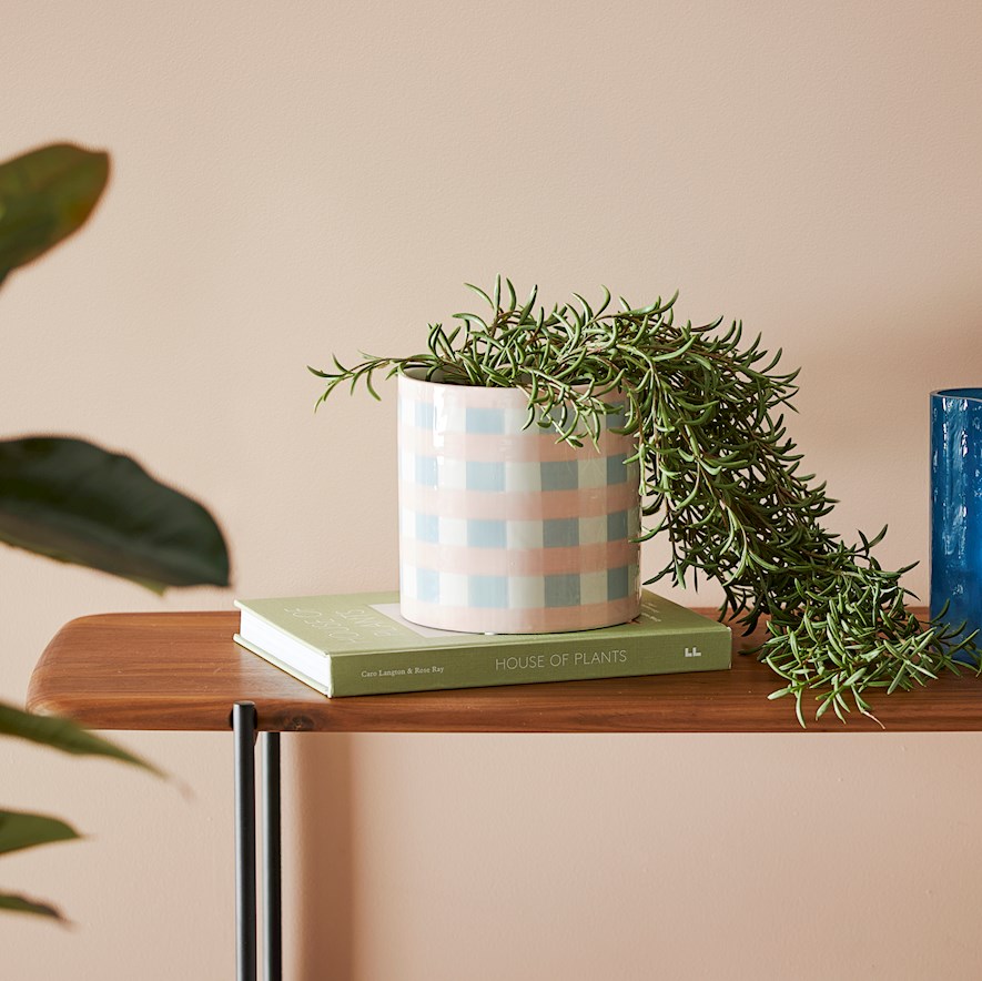 Lisbon Blue & Pink Check Pot | Adairs
