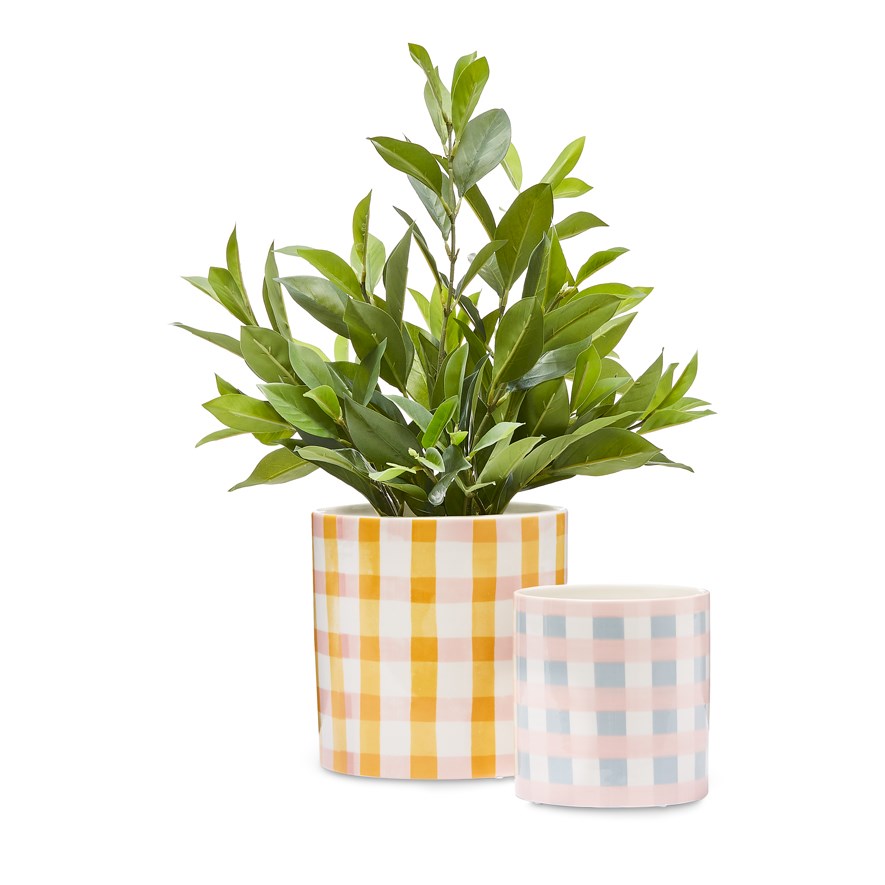 Lisbon Mustard & Pink Check Pot | Adairs