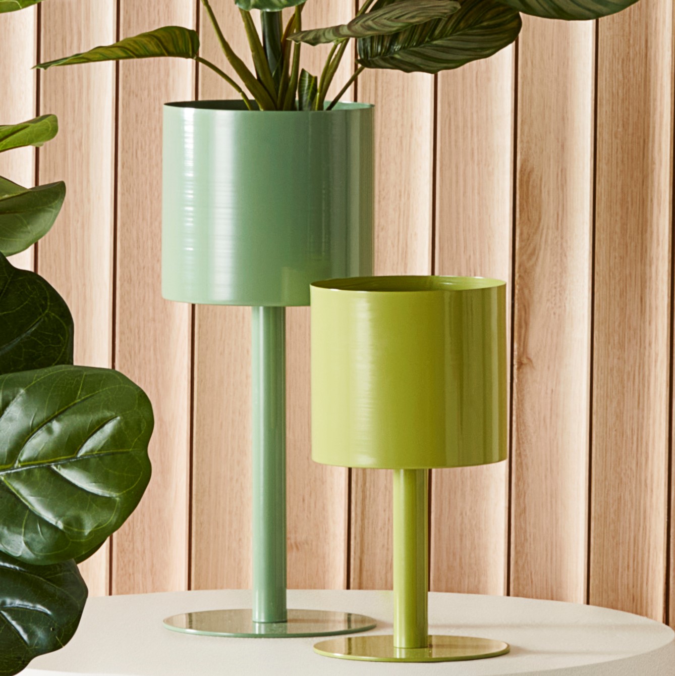 Tazza Grass Plant Stand | Adairs