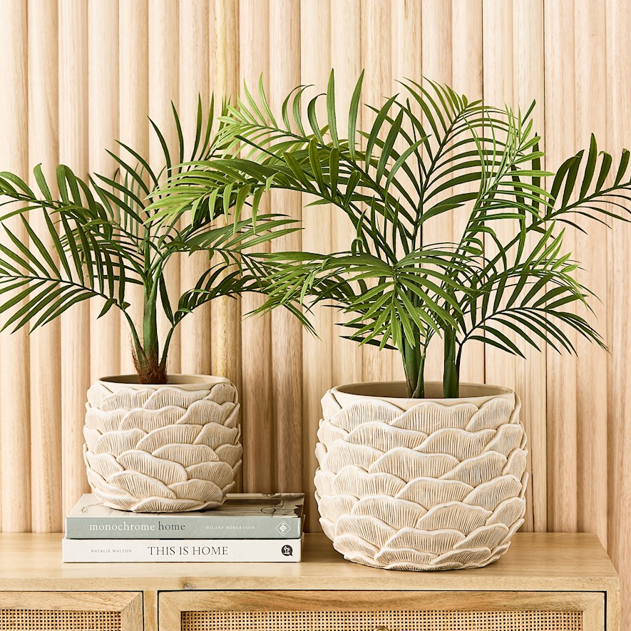 Oyster Natural Shell Pot | Adairs