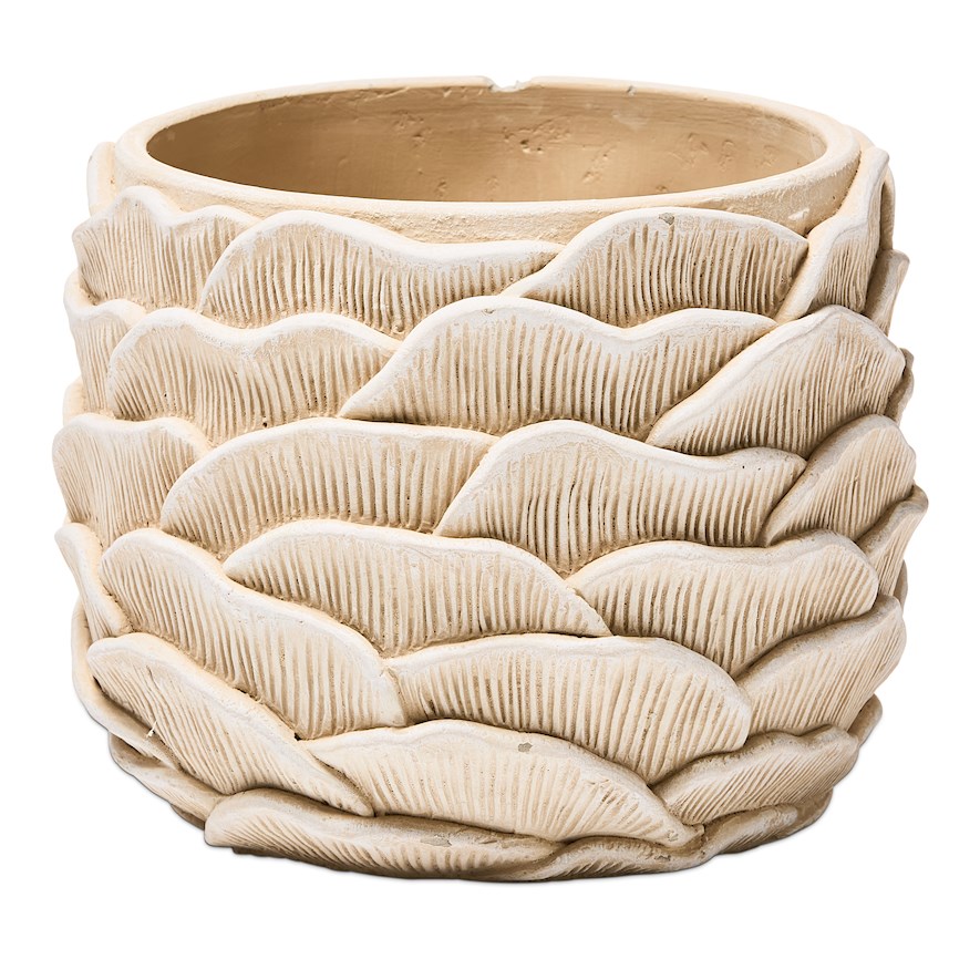Oyster Natural Shell Pot | Adairs