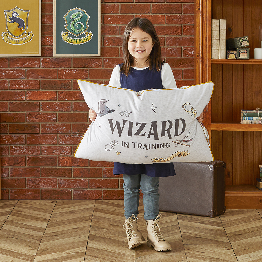 Warner Bros Harry Potter Grey Marle Wizard in Training Pillowcase | Adairs