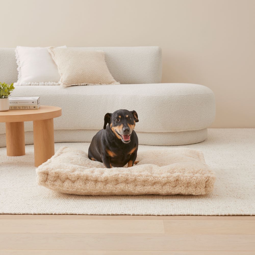 Dog bed cushion store