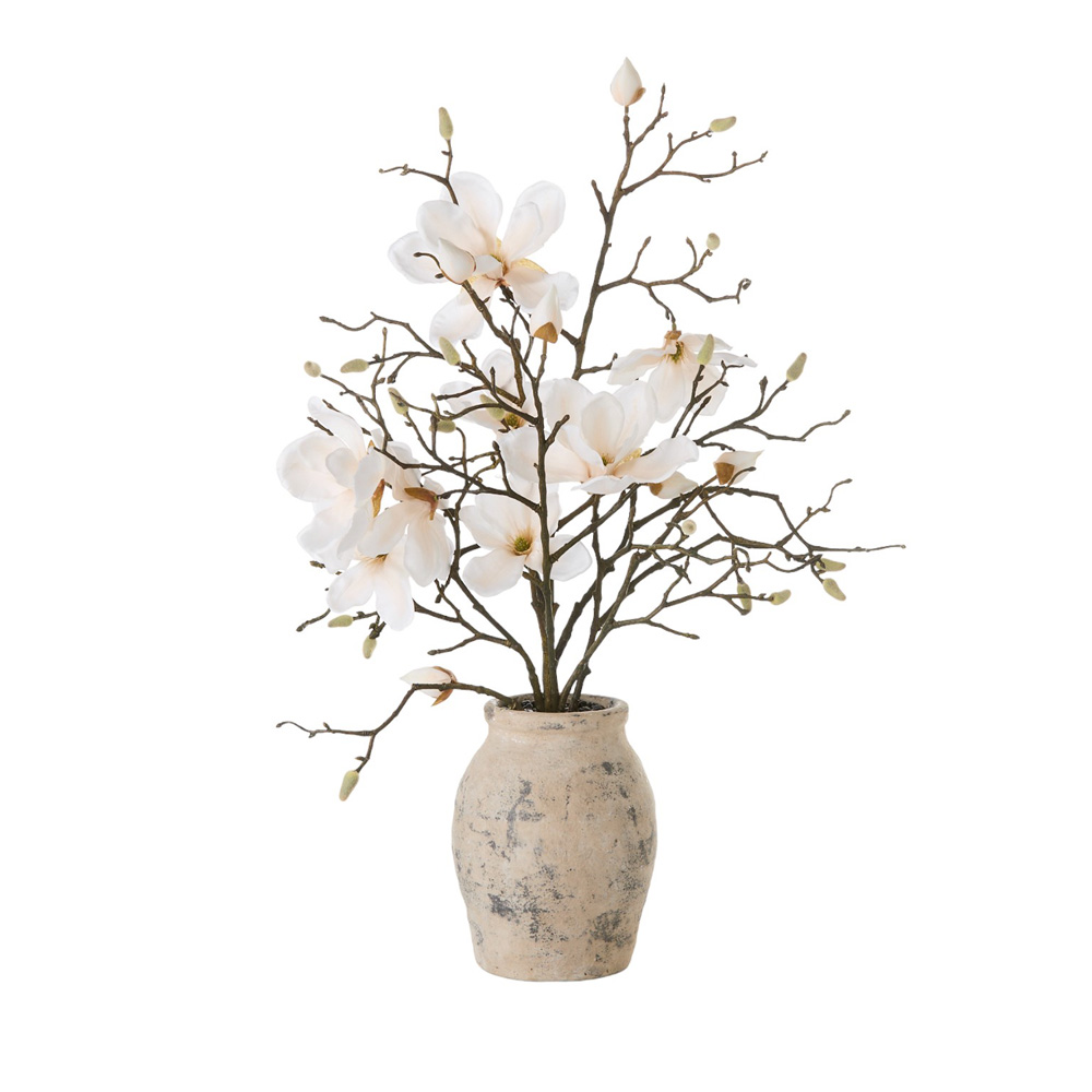 White Magnolia in Ceramic Vase | Adairs
