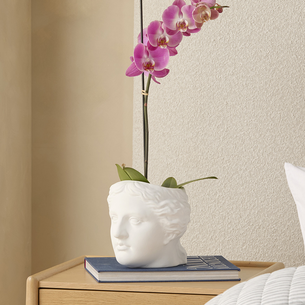 Grecian White Aphrodite Head Pot | Adairs
