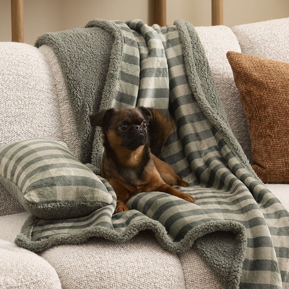 Maisy Green Tile Pet Blanket | Adairs