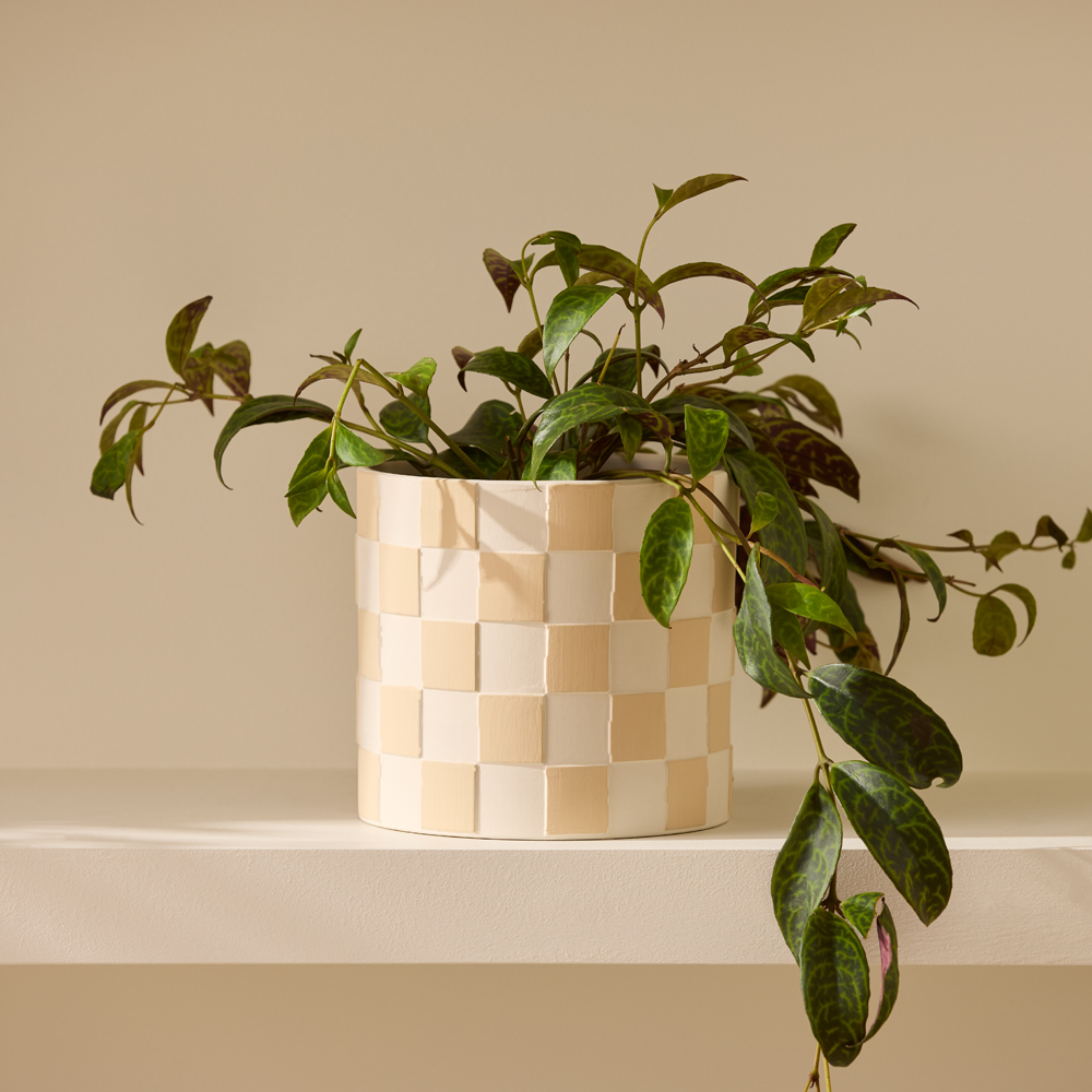 Checkerboard Natural & White Pot | Adairs