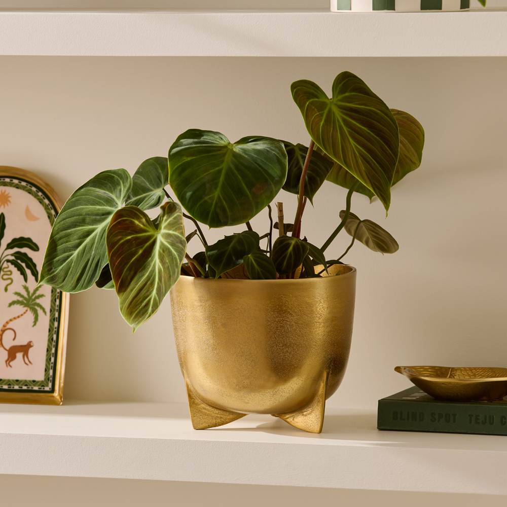 Zeus Gold Pot | Adairs