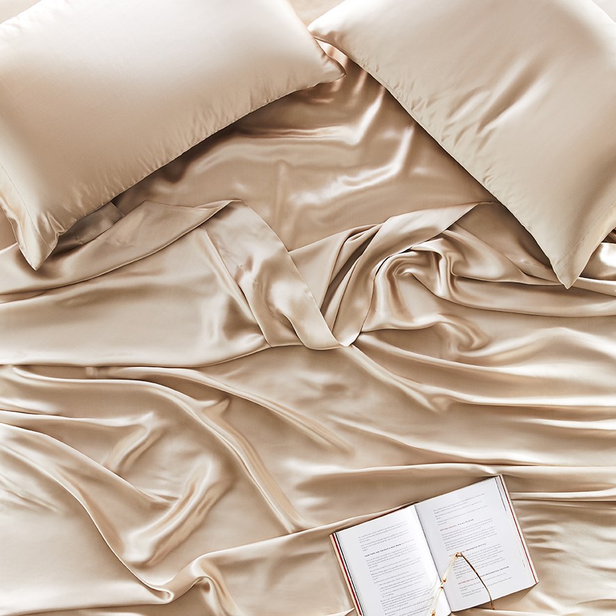 Pure Silk Champagne Sheet Set | Adairs
