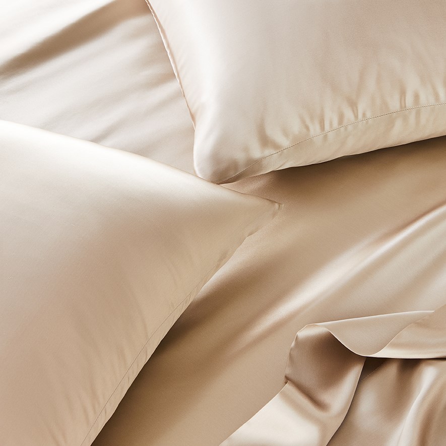 Pure Silk Champagne Sheet Set | Adairs