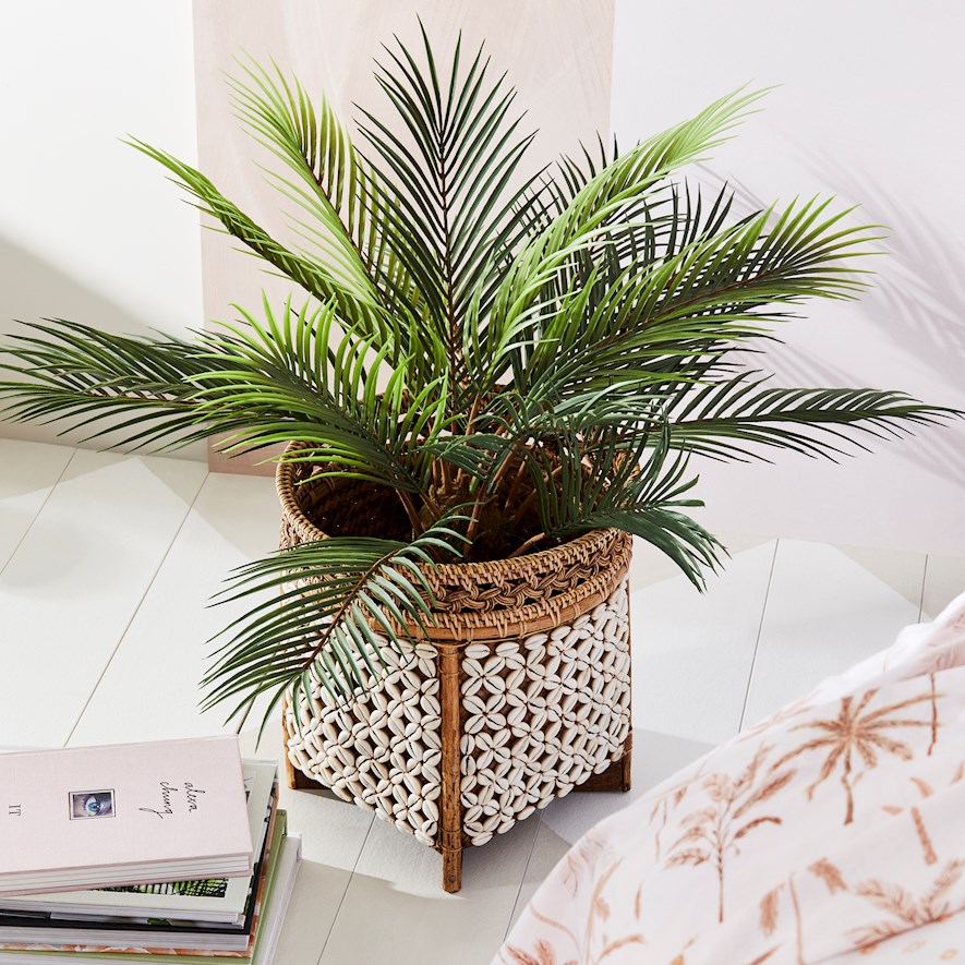 Cowrie Shell Basket Dia30xH30cm Natural | Adairs