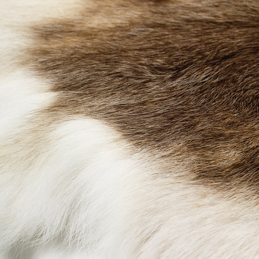 Reindeer Skin Rug | Adairs