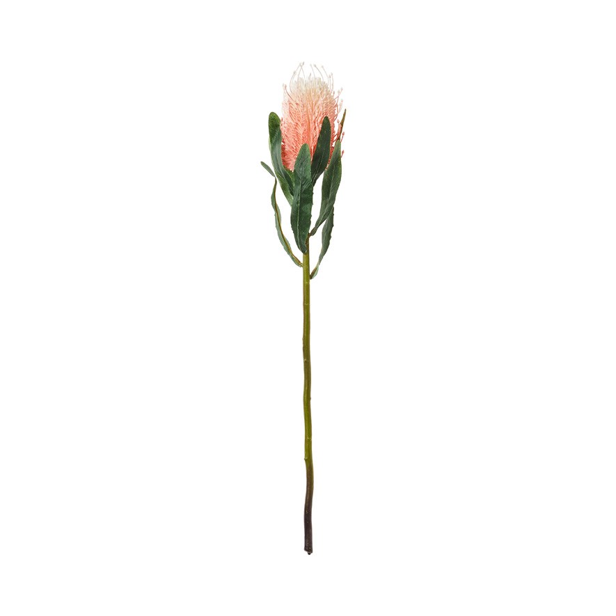 Spring Stems Banksia Pink | Adairs