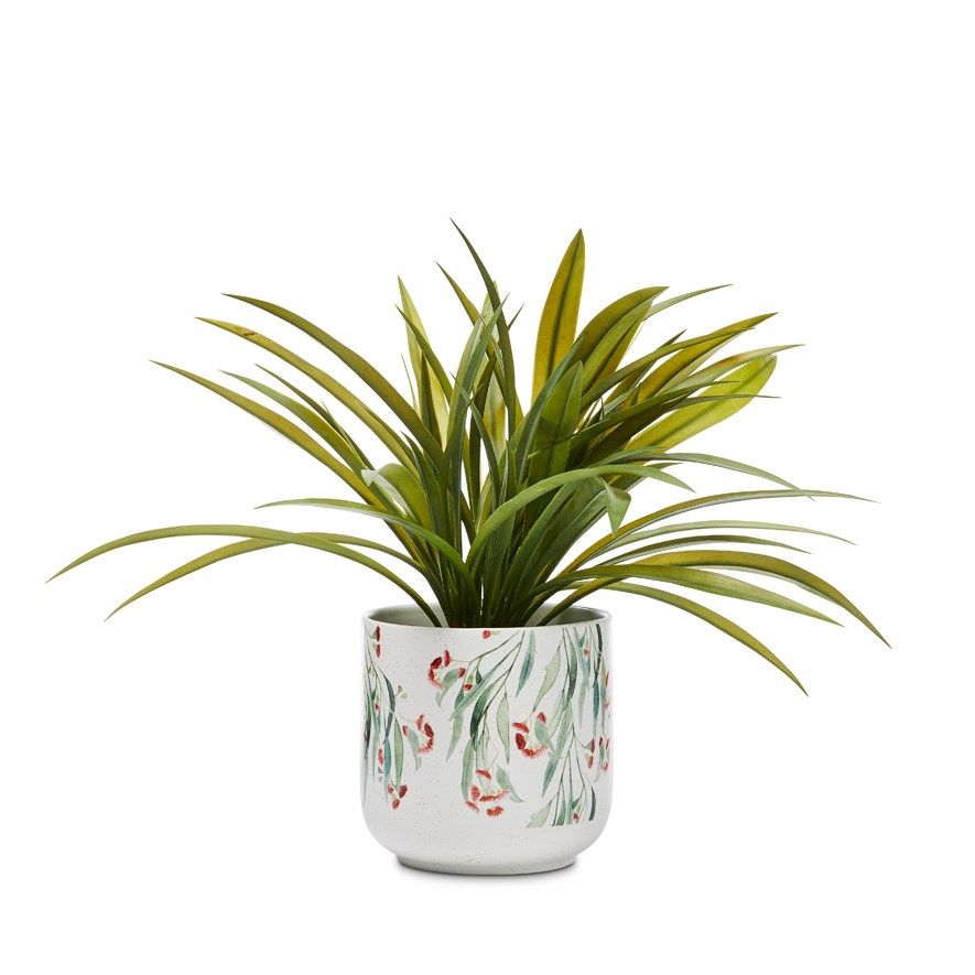 Australian Wild Flowers Flowering Gum Pot | Adairs