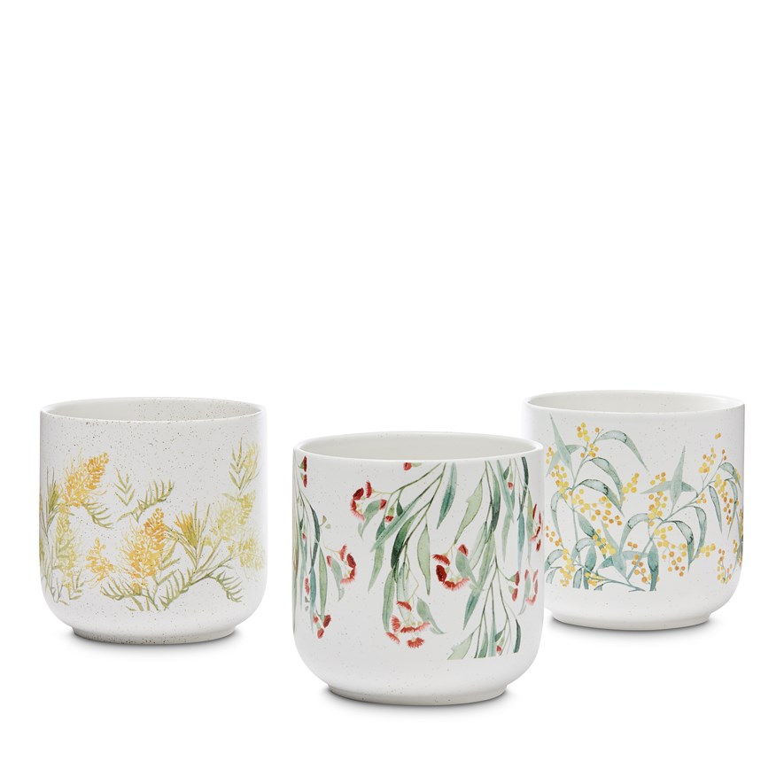 Australian Wild Flowers Flowering Gum Pot | Adairs