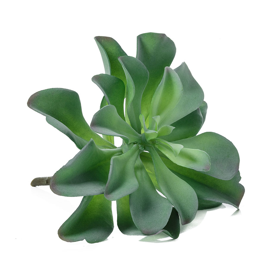 Mini Agave Stem | Adairs