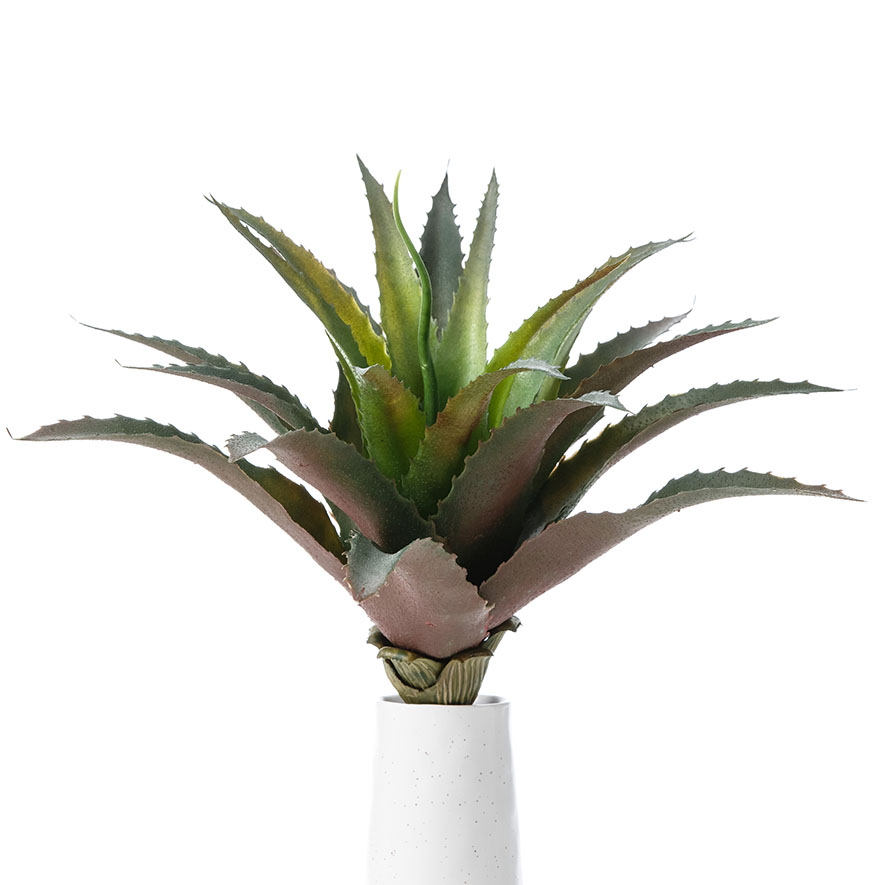 Red Agave Stem | Adairs