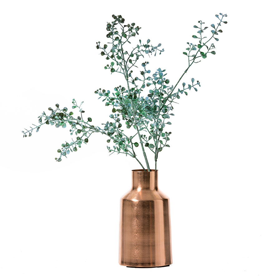 Botanical Stem Eucalyptus Leaf Spray | Adairs