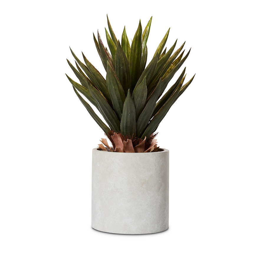 Husk Small Yucca Plant | Adairs