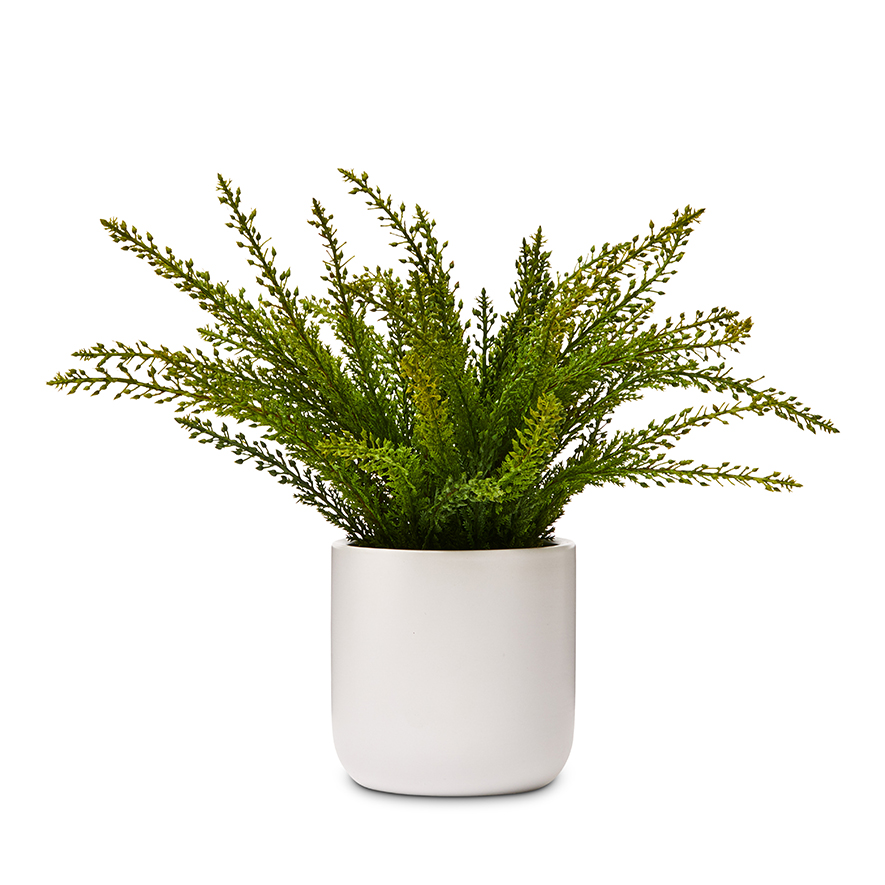 Freya Green Pine Fern | Adairs