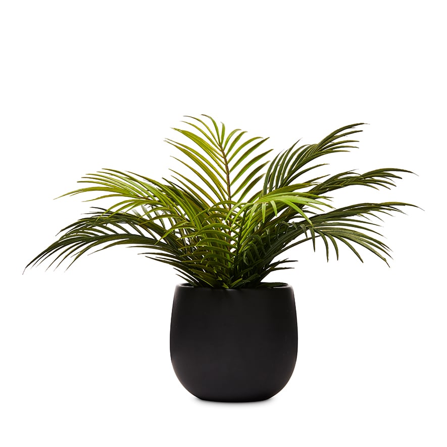Freya Green Tropical Fern | Adairs