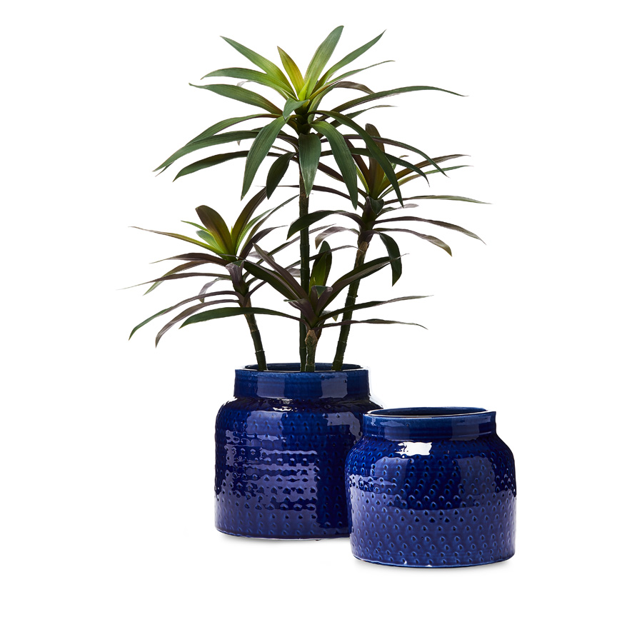 Gerry Ginger Dark Blue Jar | Adairs