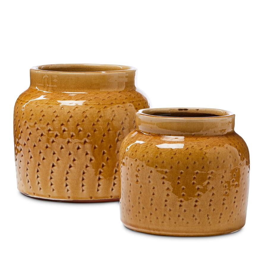 Gerry Ginger Mustard Jar | Adairs