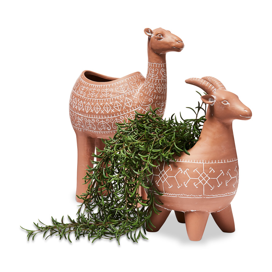 Maya Camel Terracotta Pot | Adairs