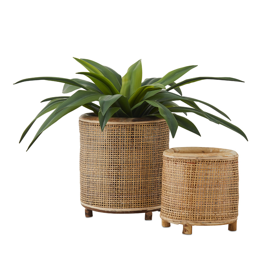 Benoa Small Natural Rattan Pot | Adairs