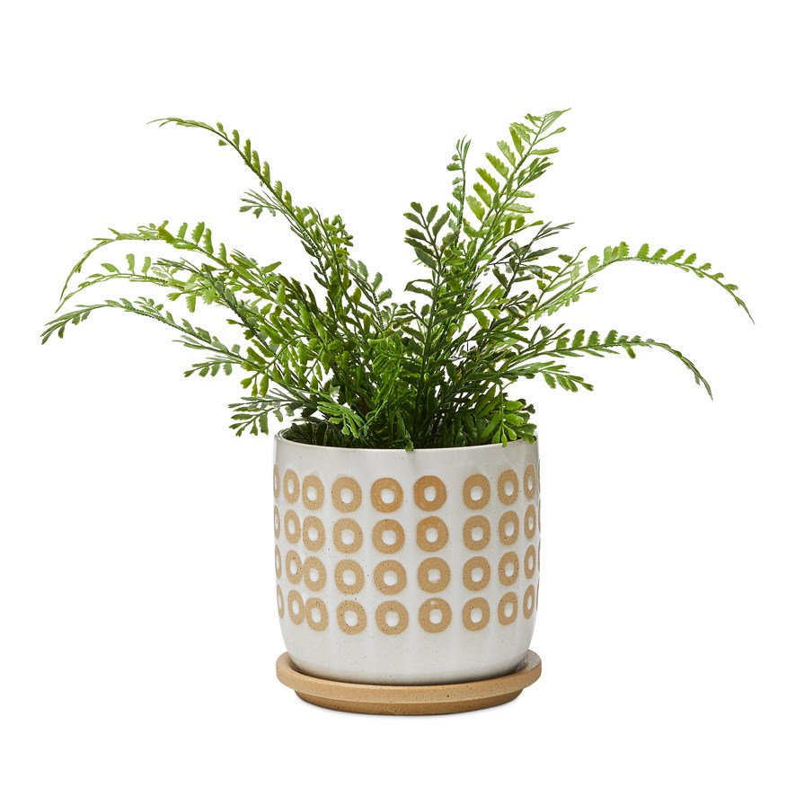 Spot White & Terracotta Tuscan Pot | Adairs