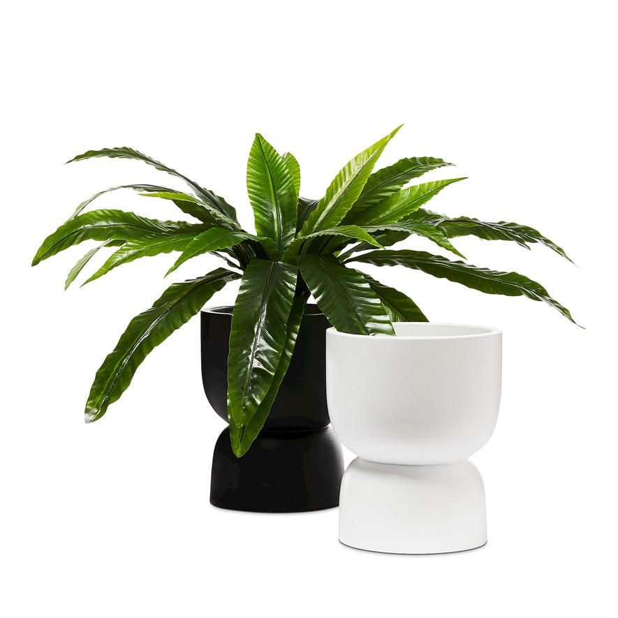 Mark Tuckey Jackson Black Pot | Adairs