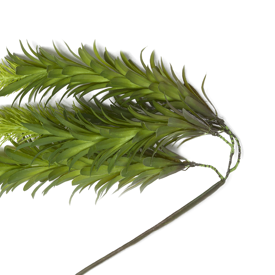 Spring Stems Amazon Hanging | Adairs