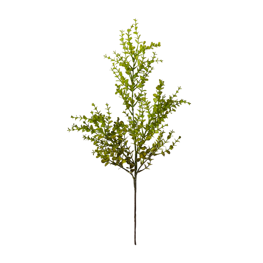 Spring Stems Round Leaf Spray Green | Adairs